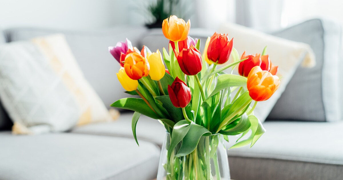 Einfache Tricks: So Bleiben Tulpen Länger Am Leben - Bunte